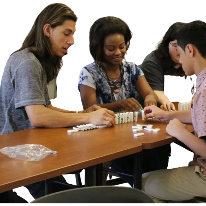 Insight Training & Educational Center Inc - FINSYNC